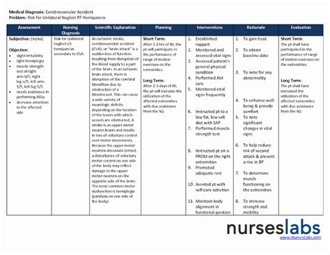 Pin On Care Plan