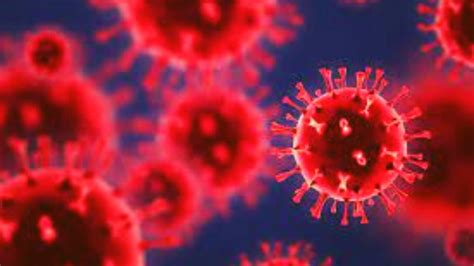 What Are The New Omicron Subvariants XBB And XBB 1 5 Important Facts
