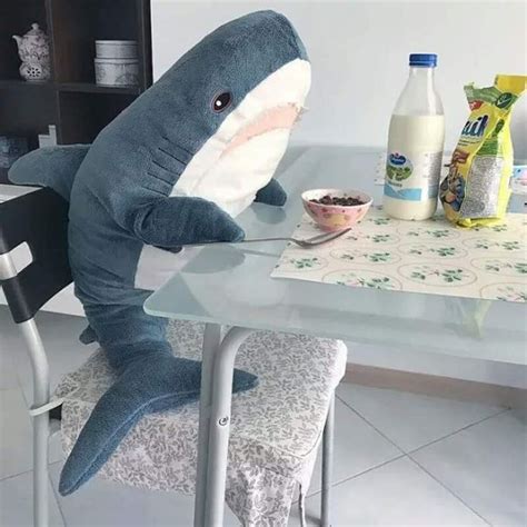 tiburon desayunando | Peluches kawaii, Peluches, Juguetes para mascotas