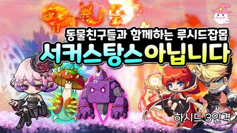 플위는 잡몹을 얼마나 잘잡을까 딜빼고 완벽한 플위 무적기빼고 완벽한 나로 하드루시드 데이트~ 메이플스토리 Youtube