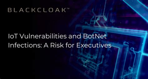 Iot Vulnerabilities And Botnet Infections A Risk For Executives