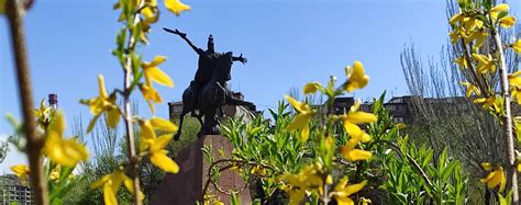 Կանաչապատում և շրջակա միջավայրի պահպանություն