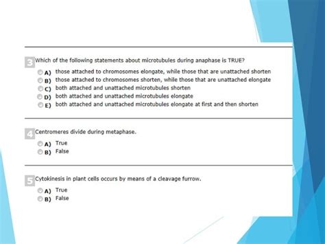 Cell Cylce And Cell Division An Introduction Pptx Biological