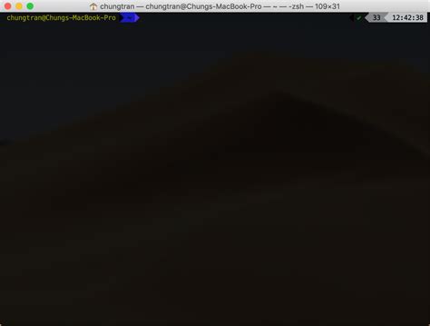 thiết lập trên macos terminal