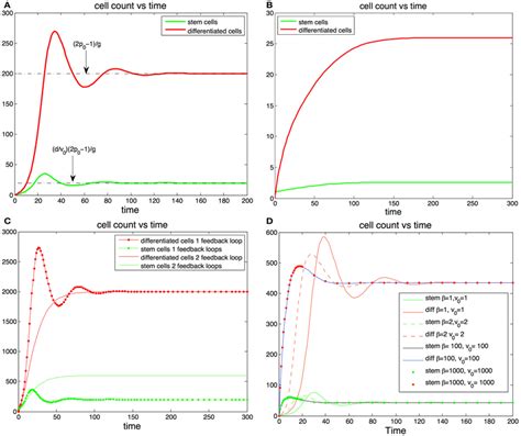 A Example Of The Spatial Arrangement Of The Cell Population In Three Download Scientific