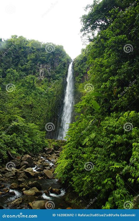 Chute Du Carbet The Waterfalls Group Inside A Tropical Forest Located