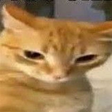 Stream Aaeushh Music Listen To Songs Albums Playlists For Free On Soundcloud