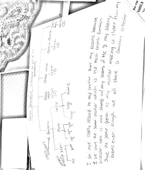 Bio Prelab Phylogenetic Trees POLY Lou Hw Us 4 Vy 4280 Tv Bv MS NY Om Poy BIND Sus Su