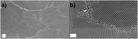 Top View Of Large Domains Of Polystyrene Nanosphere Layer Sem Pictures