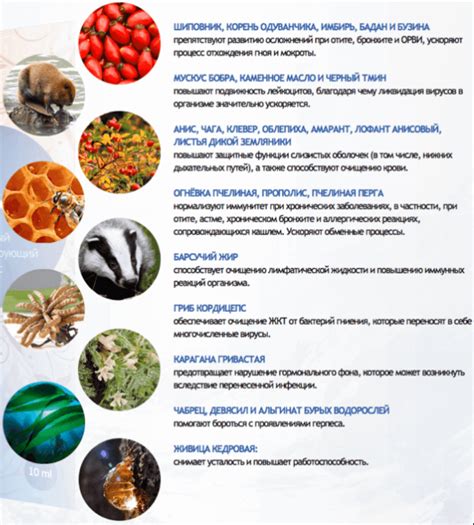 Immunity, капли для иммунитета - отзывы реальных покупателей