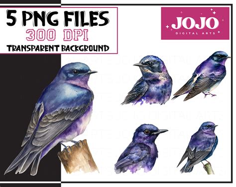 5 Purple Martin Bird Png Clipart Purple Martin Sublimation Etsy