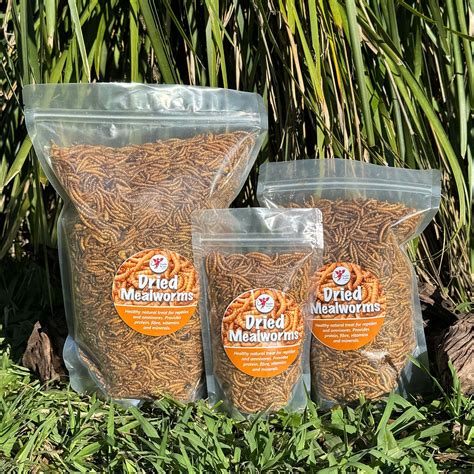 Dried Mealworms Bulk Bags Reptile Realm