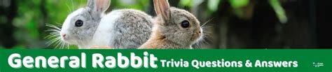 35 Rabbit Trivia Questions And Answers Group Games 101