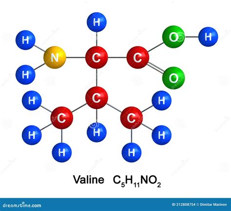 Valine Stock Illustration Illustration Of Molecular 212808754