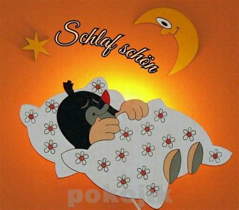 Pin Von Nacktschlaefer 1311 Auf Sprüche Zitate Gute Nacht Katze Gute Nacht Gute Nacht Grüße