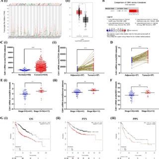 The Bioinformatic Data Mining Analysis Of Prognostic Significance Of