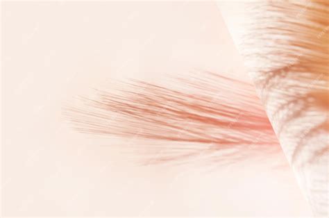 그림자가 있는 추상 배경 파스텔 색상 빛과 그림자의 꽃에서 자연 그림자 프리미엄 사진