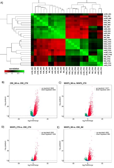 hierarchical clustering and correlation analysis of transcripts in the