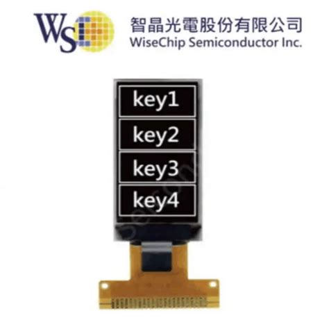 OLED Touch Display