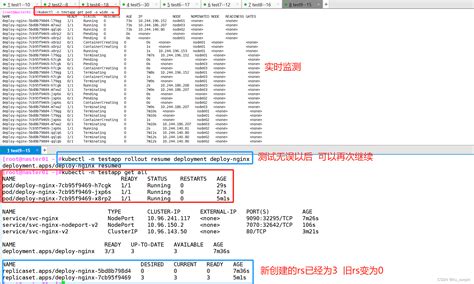 kubernetes关于k8s集群的资源发布方式灰度 滚动发布 技术分享 云服务器