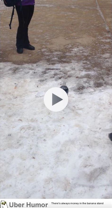 How To Trick An Idiot Funny Pictures Quotes Pics Photos Images Videos Of Really Very