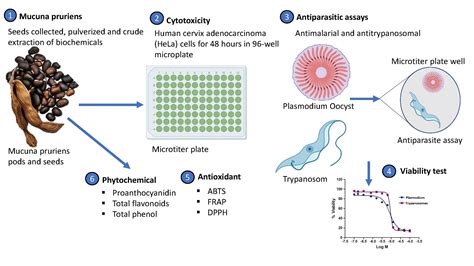 Plants Free Full Text Cytotoxicity Phytochemical Antiparasitic