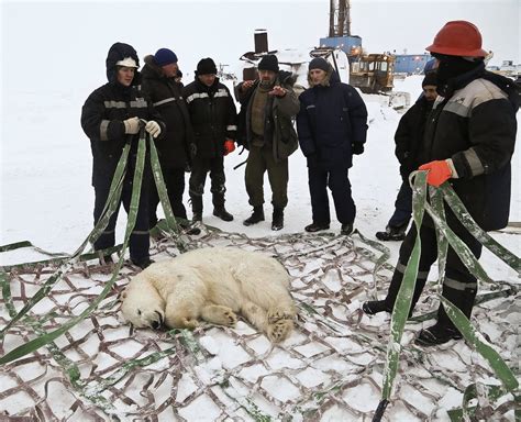 Arctic Governments And Fossil Fuels Wwf Arctic