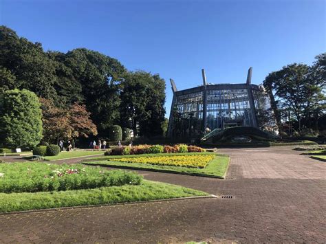 木目 KOSUGIブログ 小杉造園株式会社 東京 世田谷