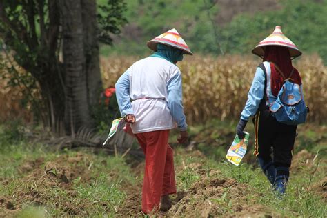 농부들 농장 농업 옥수수 Pixabay의 무료 사진 Pixabay