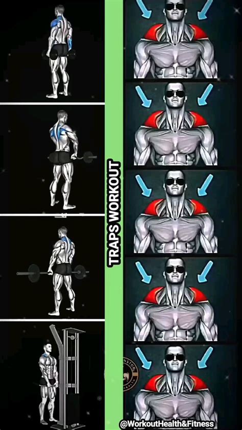 Build Bigger Traps Traps Workout For Muscle And Size Gain Traps