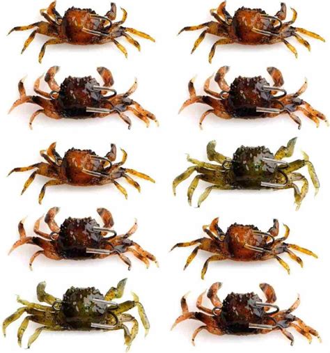 Top 10 Best Crab Bait To Improve Your Crabbing Success
