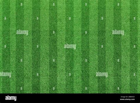 Top View Stripe Grass Soccer Field Green Lawn Pattern Background Stock