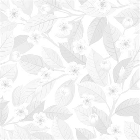 Patrón Sin Costuras Floral Blanco Vector Premium