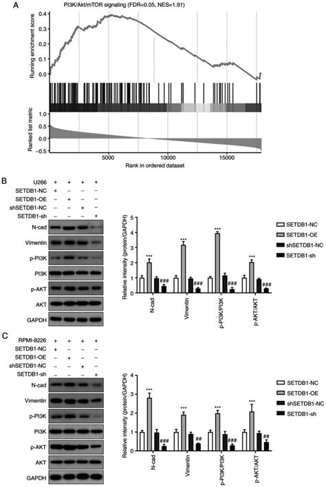 Setdb1 Induces Lenalidomide Resistance In Multiple Myeloma Cells Via