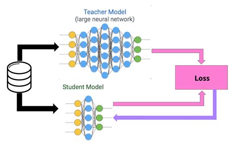 Envision Model Distillation