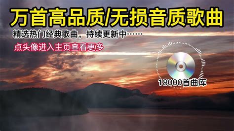 陈琳 你的柔情我永远不懂 Youtube