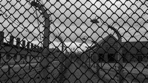 Olympus Digital Camera Andrés Raek Flickr