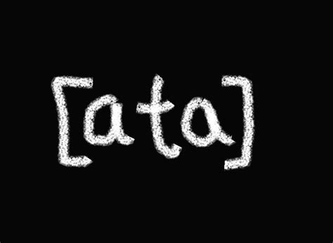 Html Javascript Radio 버튼 Name 속성을 통한 중복 체크 방지