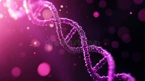The Process Of Crossing Over During Meiosis Demonstrates The