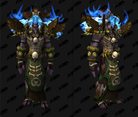 Tier 5 Druid
