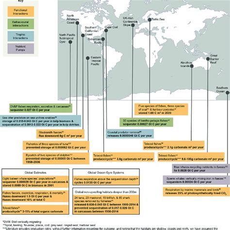 Map Of Estimated C Interactions And Outcomes Download Scientific Diagram