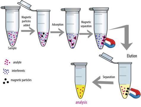 7 Extraction Procedure With Magnetic Particles Download Scientific Diagram