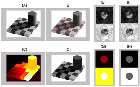 Two Examples Of Image Segmentations Used To Guide The Computation Of