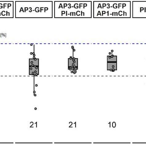 no detectable interaction between mads domain proteins with fret flim