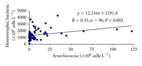 Linear Relations Between Synechococcus Heterotrophic Bacteria And