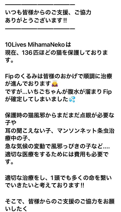 【緊急ご支援のお願い】 10livesmihamaneko美浜ねこのブログ