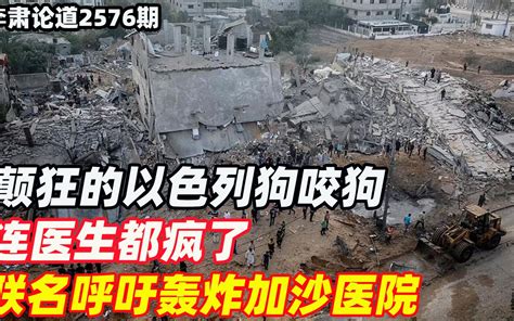 李肃：颠狂的以色列狗咬狗，连医生都疯了，联名呼吁轰炸加沙医院 李肃论道 李肃论道 哔哩哔哩视频