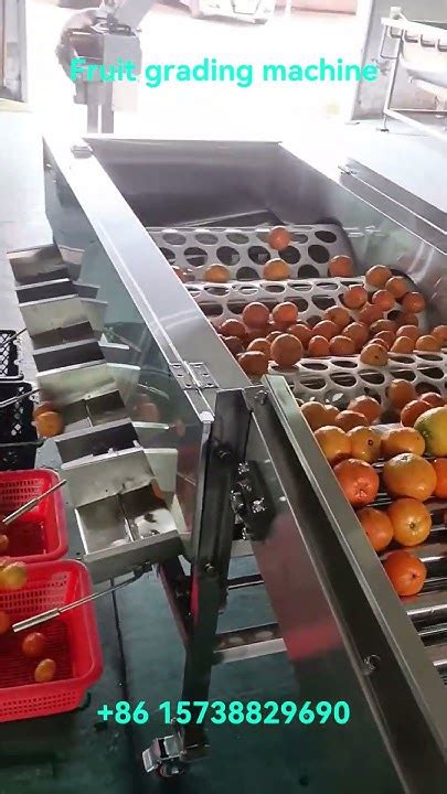 Fruit Grading Machine Youtube