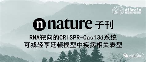 Nature Neuroscience丨小胶质细胞的铁死亡易感性及其调控机制 脑医汇