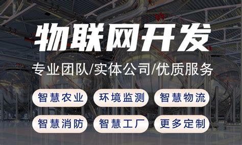 物联网应用软件开发行业分析 顶尖软件